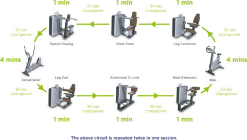 STUDIO 35 | MILON CIRCUIT